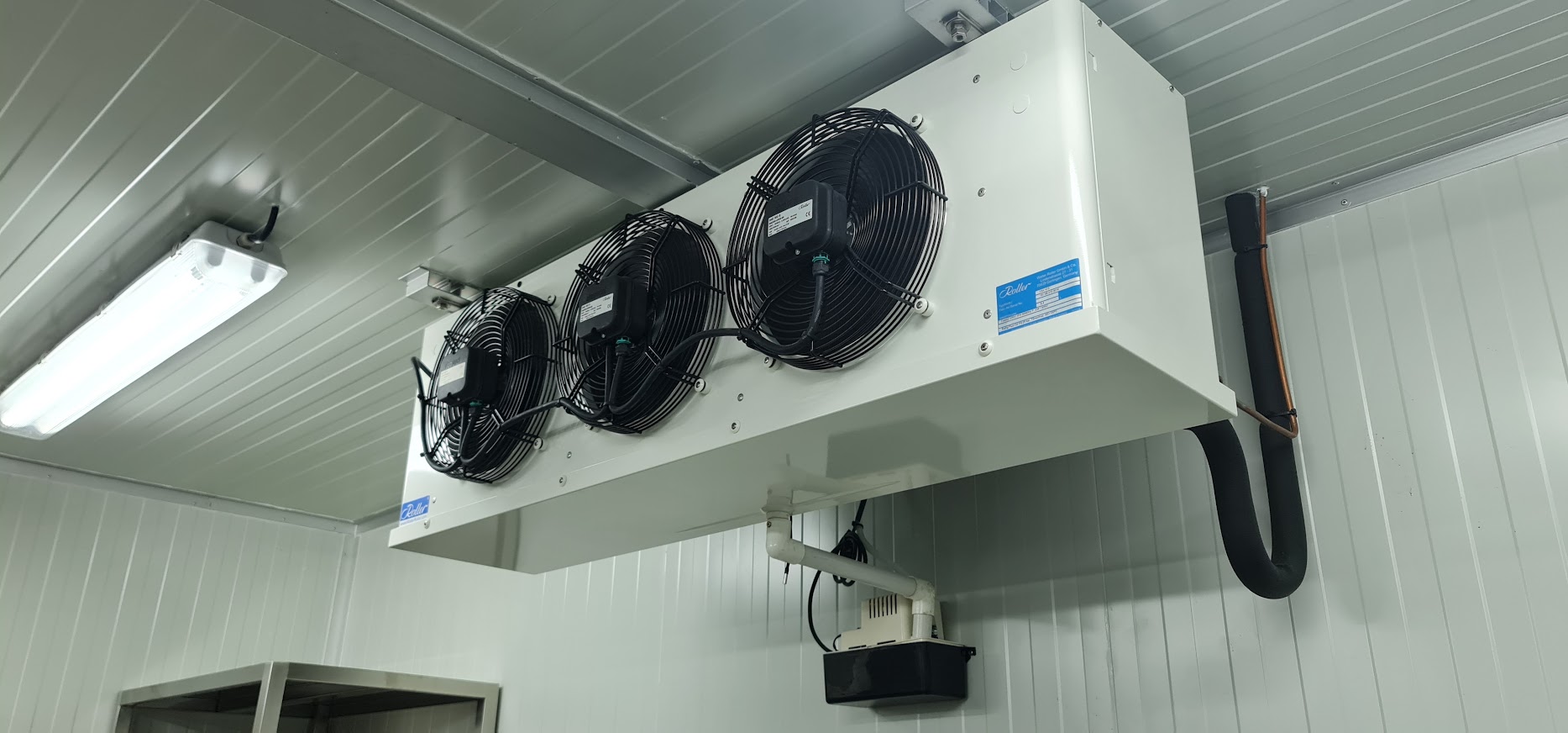 Do You Need a Cold Room for Your Products? - Techtimia Engineering Pte. Ltd